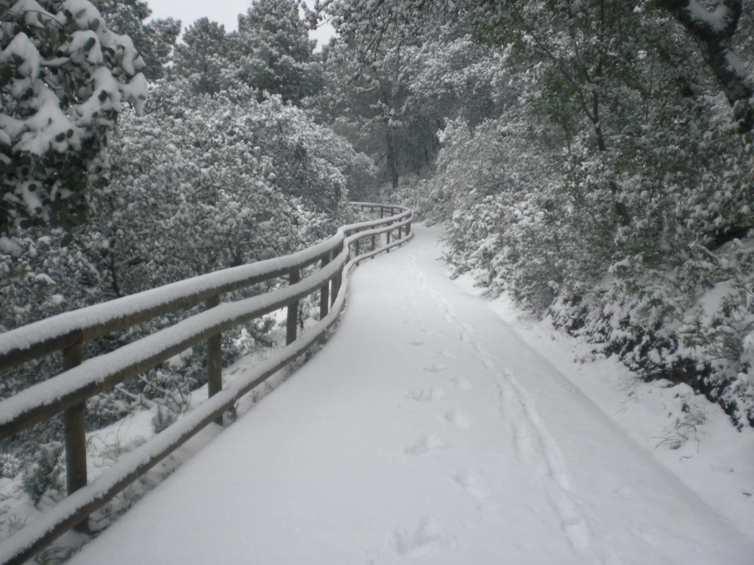 An Untold Tragedy: Douglas Gresham and C.S. Lewis’s Final Years ━ The ...