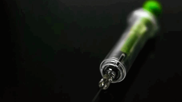 French MPs To Vote on One of the World’s Most Extreme Euthanasia Laws ...