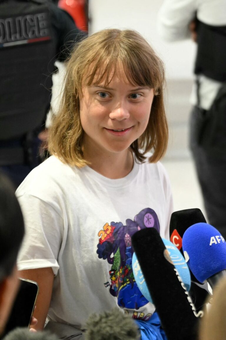 Greta: The Poster Child for Progressive Contradictions ━ The European ...