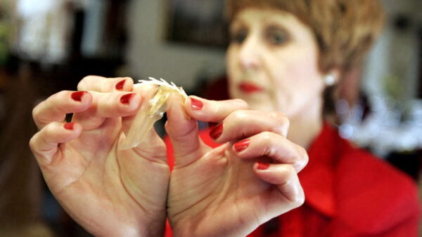 Vaginal Traps Instead of Migration Policy: Germany’s Latest Absurdity ...