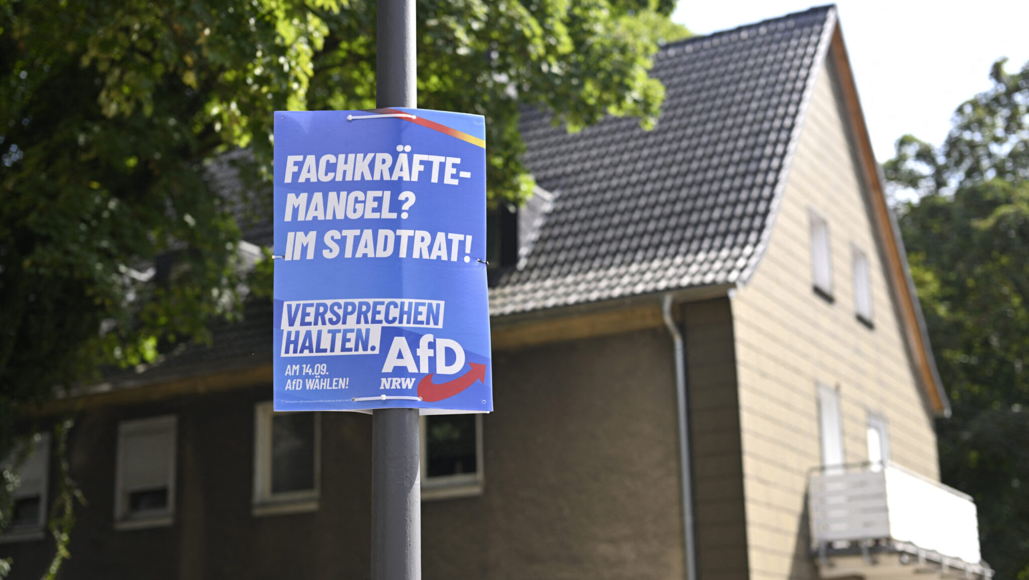 German Parliament Strips AfD MPs of Immunity ━ The European Conservative
