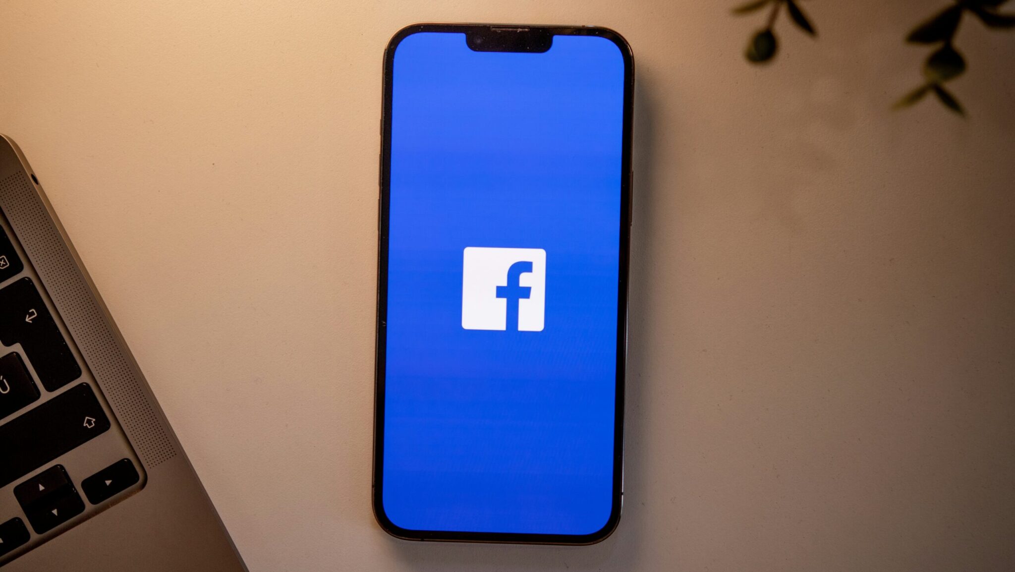 Facebook Accused of Interfering in Hungary’s Election Ahead of April ...